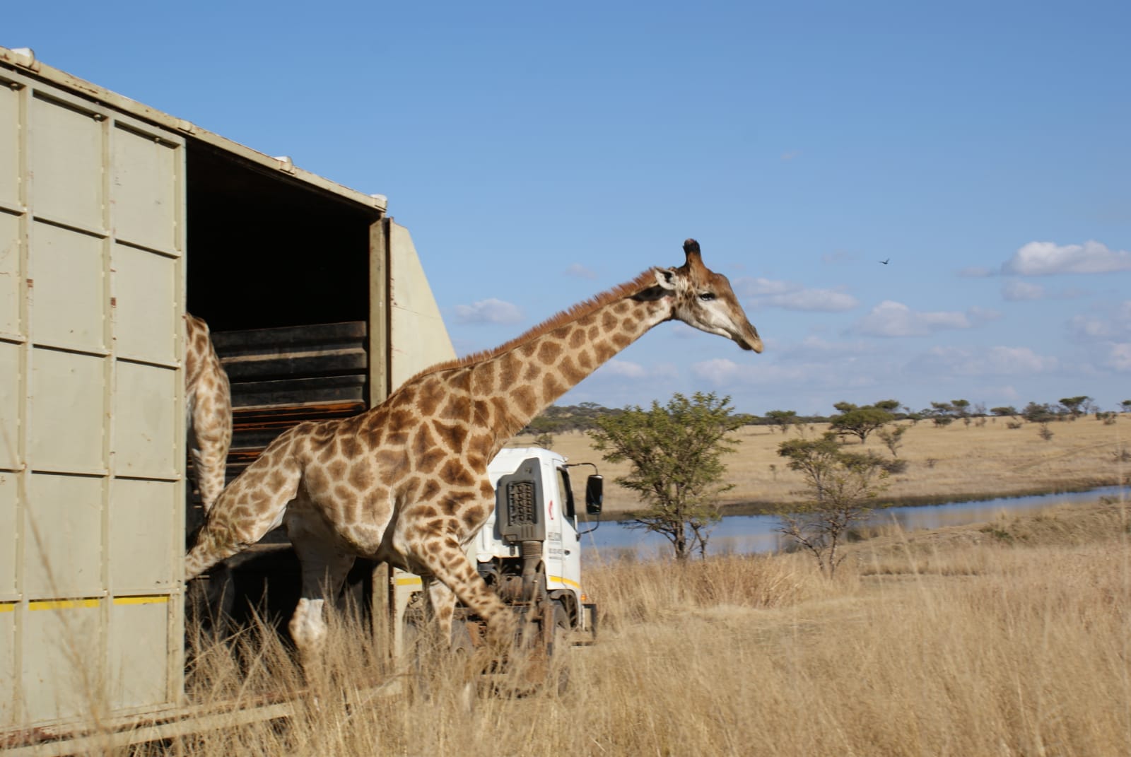 Our Game Capture Season – Helicon
